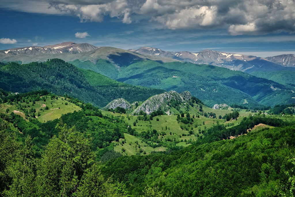 Domogled – Cerna Valley National Park – Black Pines & Colorful Butterflies