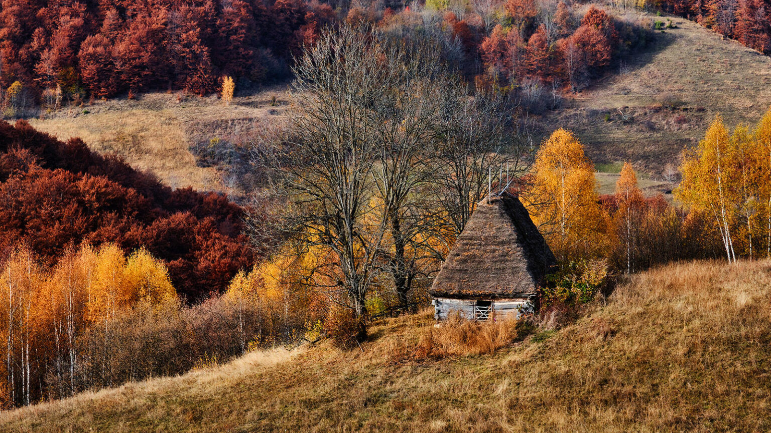 90 Interesting Facts about Romania and Romanians